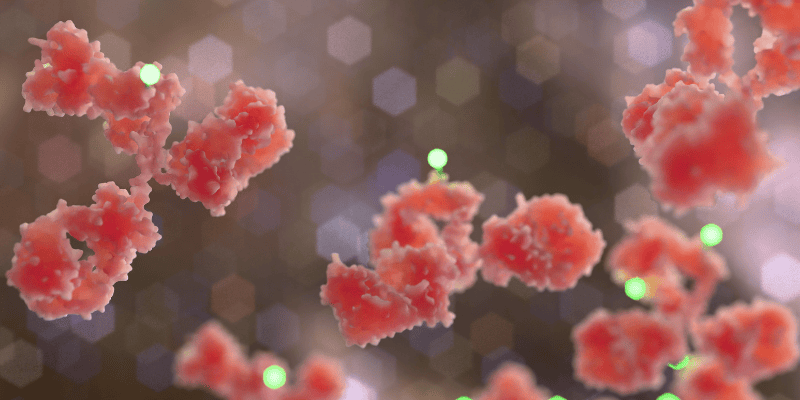 Predicting ADC Efficacy Using IHC and NGS